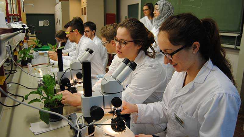 Bachelor Integrated Life Sciences › Department Biologie